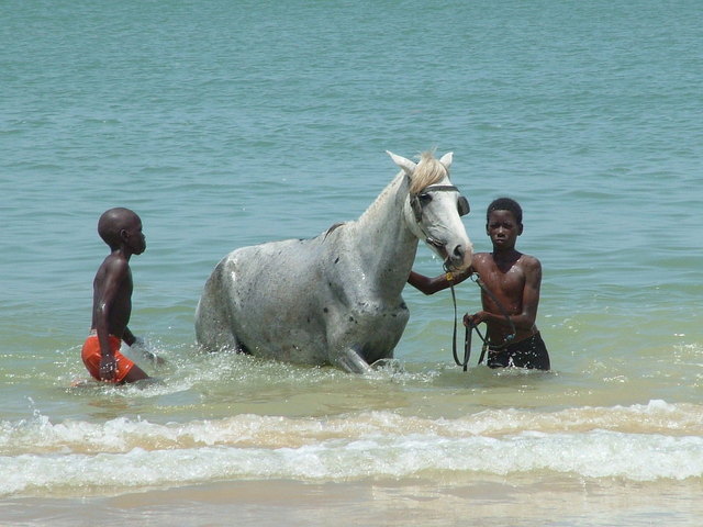 Senegal auténtico de Norte a Sud en 16 Días