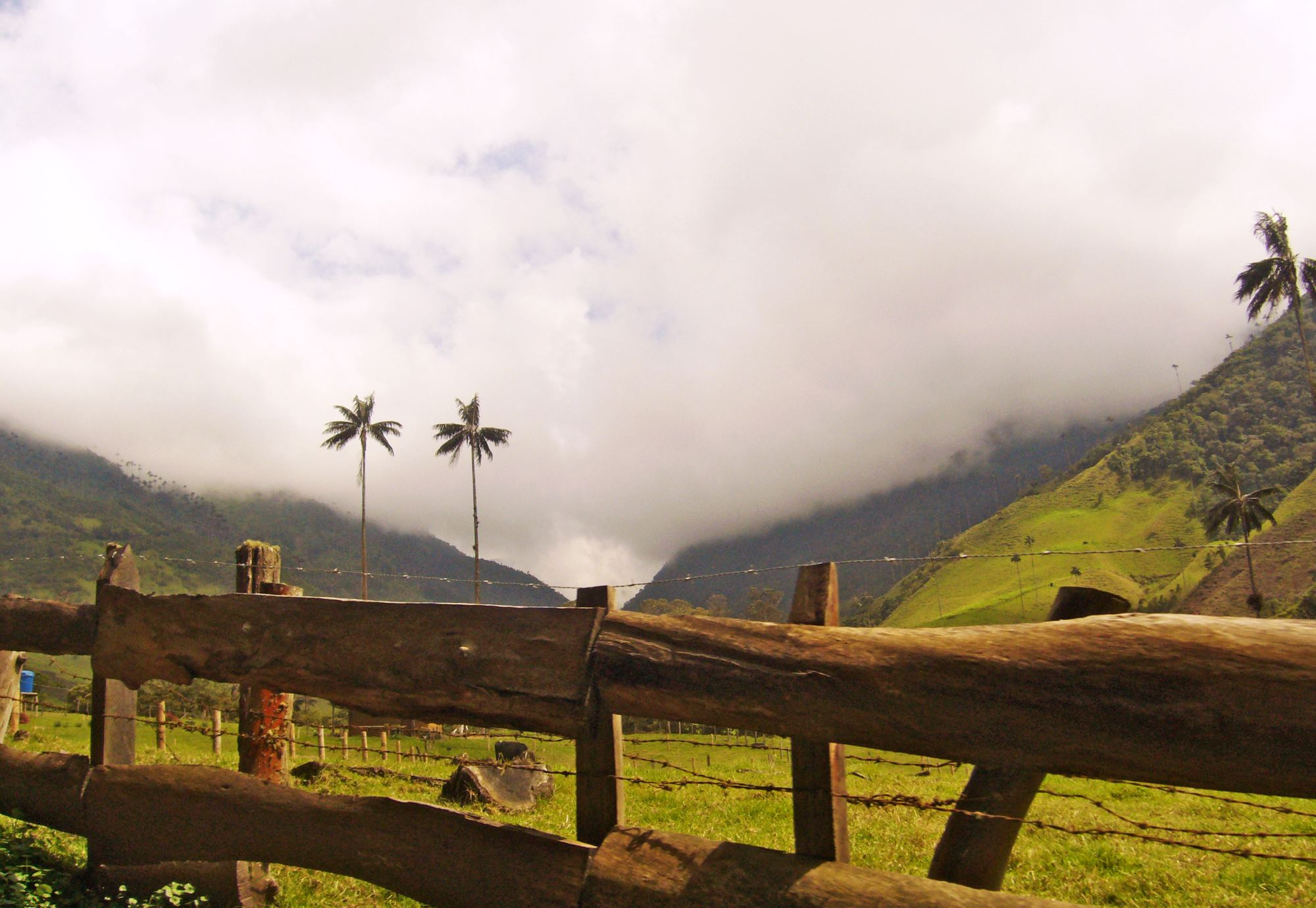 Viaje por el encantador paisaje Andino de colombia