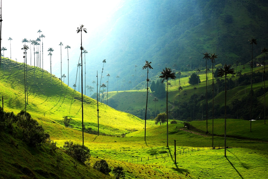 Colombia: Realismo Mágico