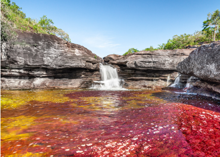 Rio de colores en Caño Cristales